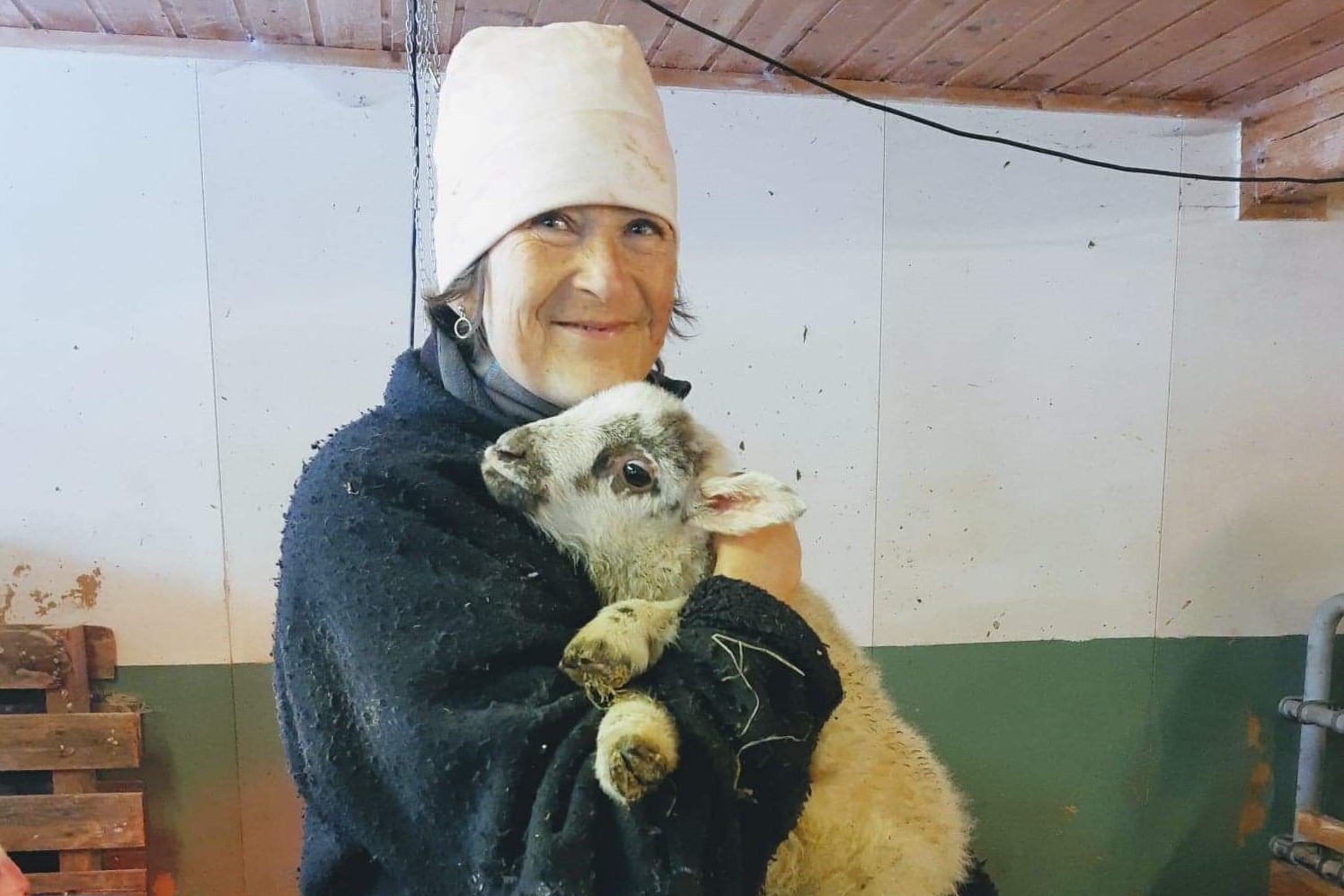 Store jervetap over flere år – 2023 kan bli siste sesong for ...