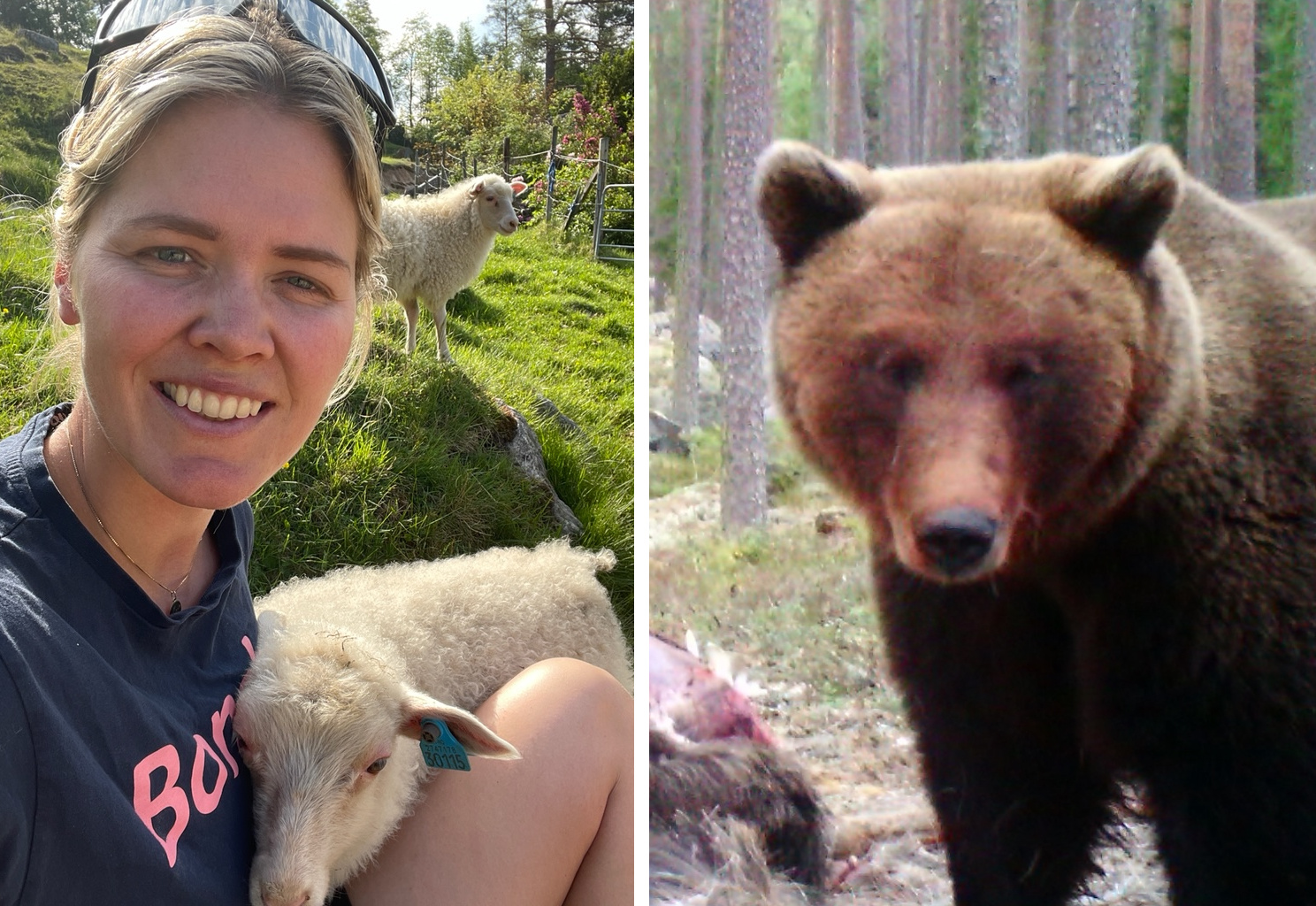 Årsmøte FNR Hallingdal onsdag 29. mai – ROVDYR.ORG