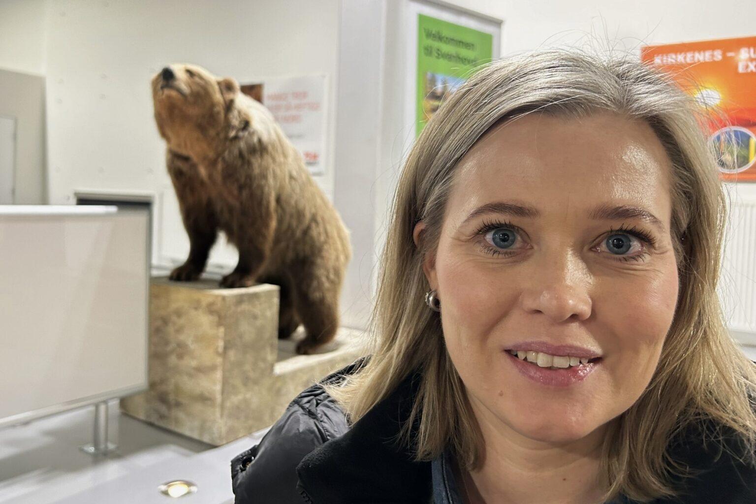 Svenske myndigheter åpner for å halvere ulvestammen – slik svarer den ...